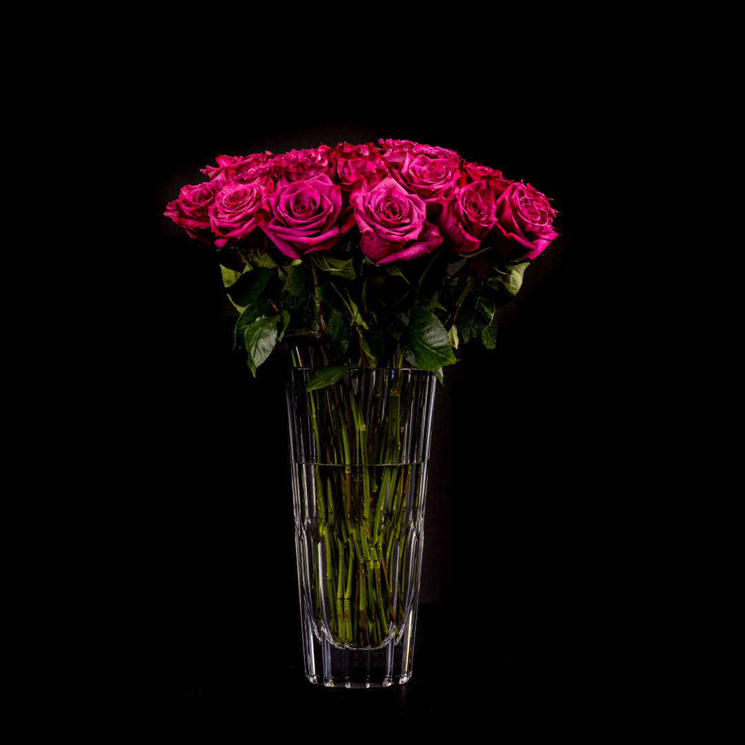 Products – Bloom Bundle