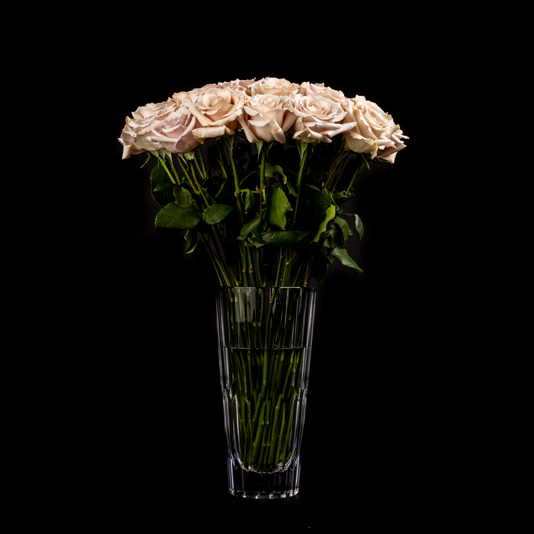 Year-round – Bloom Bundle