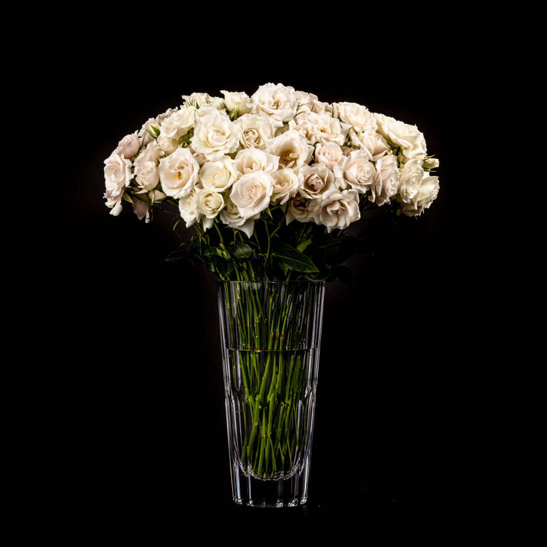 Year-round – Bloom Bundle